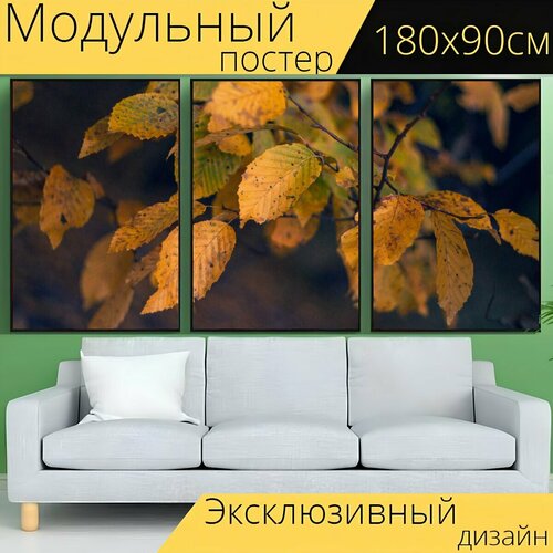Модульный постер "Парк, листья, осень" 180 x 90 см. для интерьера