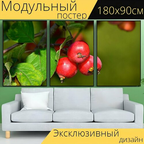 Модульный постер "Яблоко ягодный, фрукты, птиц еда" 180 x 90 см. для интерьера