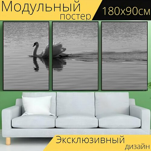 Модульный постер "Лебедь, озеро, безмятежный" 180 x 90 см. для интерьера