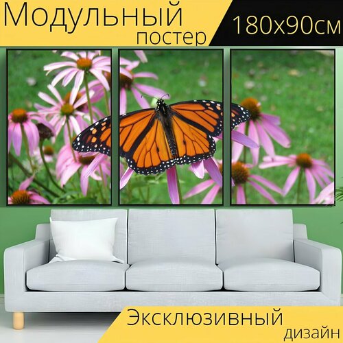 Модульный постер "Монарх, бабочка, розовый" 180 x 90 см. для интерьера