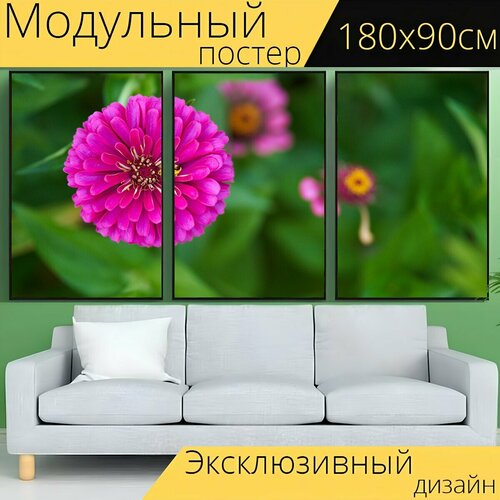 Модульный постер "Цветок, цветок циннии, сад" 180 x 90 см. для интерьера