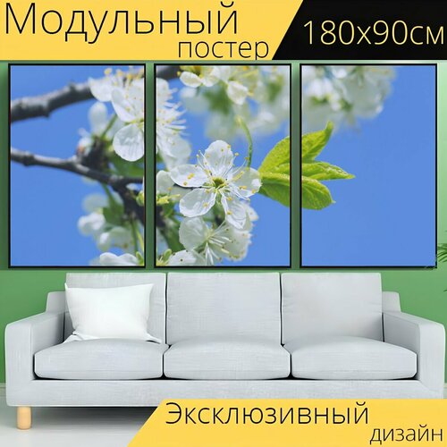 Модульный постер "Сакура, блум, весна" 180 x 90 см. для интерьера