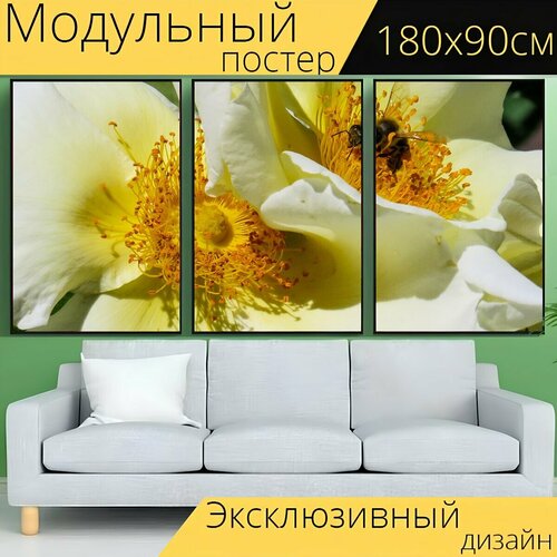 Модульный постер "Природа, цветок, цвести" 180 x 90 см. для интерьера