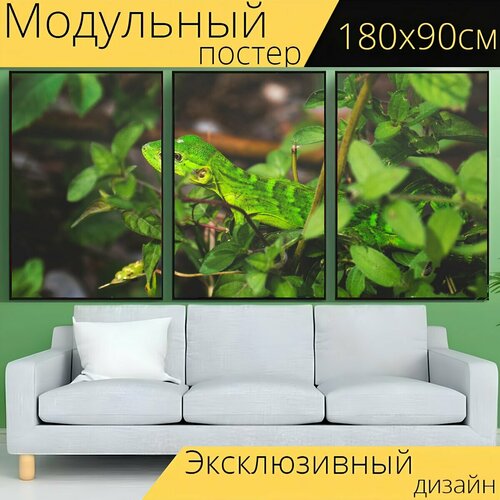 Модульный постер "Игуана, зеленый, листья" 180 x 90 см. для интерьера