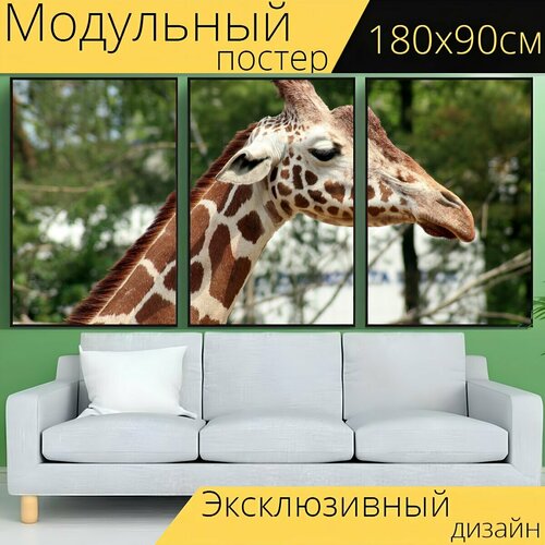 Модульный постер "Жирафа, животное, млекопитающее" 180 x 90 см. для интерьера