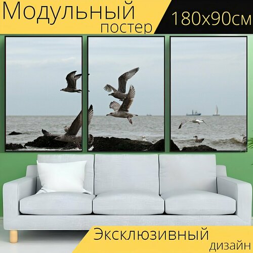 Модульный постер "Чайки, северное море, пляж" 180 x 90 см. для интерьера