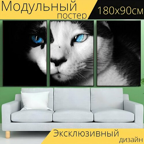 Модульный постер "Сиамский, кошка, раскрашенная" 180 x 90 см. для интерьера