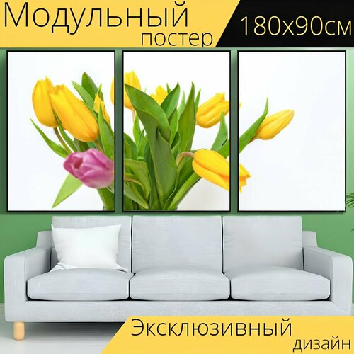 Модульный постер "Букет тюльпанов, тюльпаны, штраус" 180 x 90 см. для интерьера