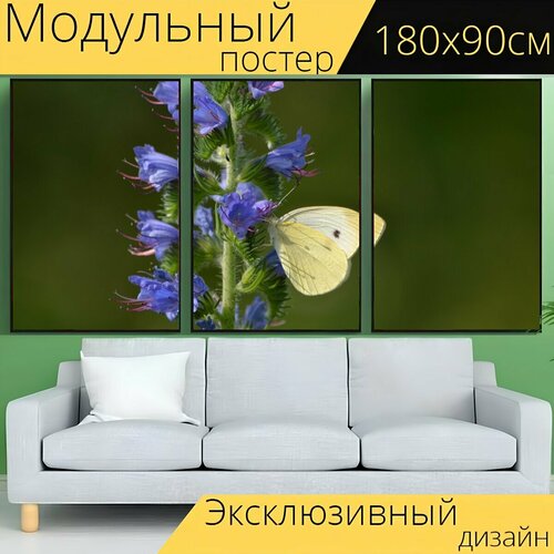 Модульный постер "Бабочка, природа, белый" 180 x 90 см. для интерьера