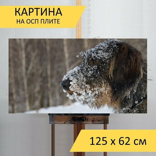 Картина на ОСП 125х62 см. "Собака, зима, такса зимой" горизонтальная, для интерьера, с креплениями