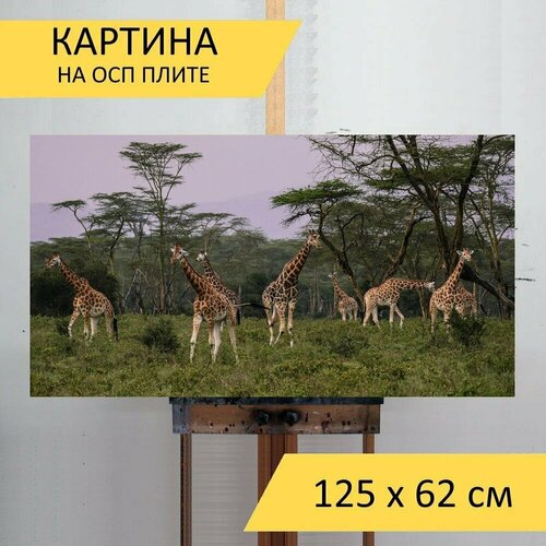 Картина на ОСП 125х62 см. "Жирафы, стадо, саванна" горизонтальная, для интерьера, с креплениями