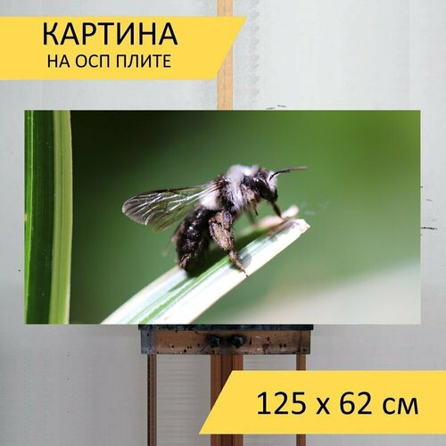 Картина на ОСП 125х62 см. "Песок пчела, дикая пчела, пчела" горизонтальная, для интерьера, с креплениями