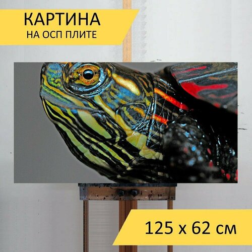 Картина на ОСП 125х62 см. "Нарисованная черепаха, черепаха, макрос" горизонтальная, для интерьера, с креплениями