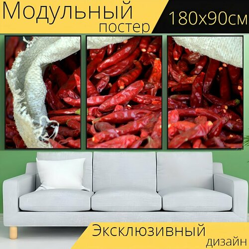 Модульный постер "Еда, чили, красный горячий" 180 x 90 см. для интерьера