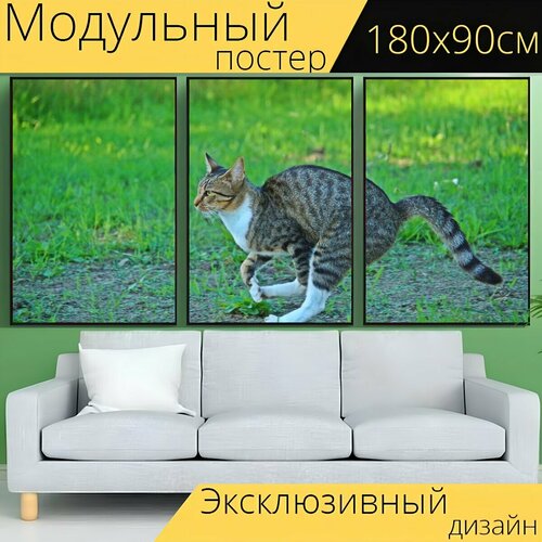 Модульный постер "Кот, тигровый кот, скумбрия" 180 x 90 см. для интерьера