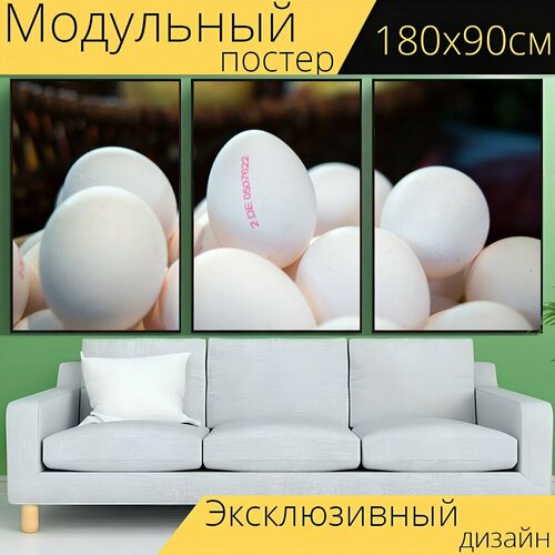 Модульный постер "Яйца, день благодарения, куриные яйца" 180 x 90 см. для интерьера