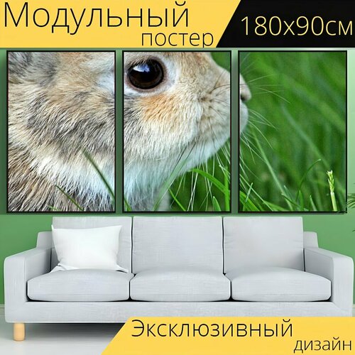 Модульный постер "Карликовый кролик, кролики, пасхальный" 180 x 90 см. для интерьера