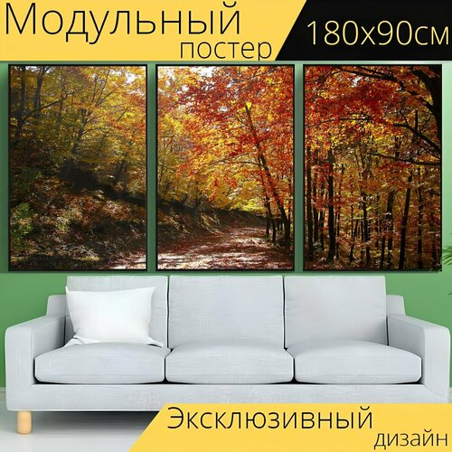 Модульный постер "Осень, падение, сезон" 180 x 90 см. для интерьера