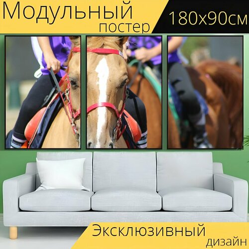Модульный постер "Езда на лошади, выносливость, пони" 180 x 90 см. для интерьера