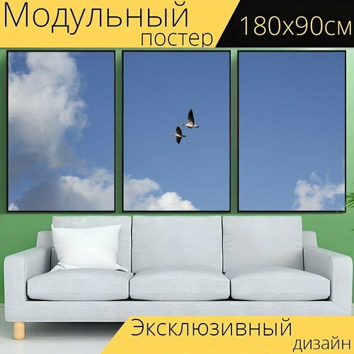 Модульный постер "Утки, небеса, перья" 180 x 90 см. для интерьера