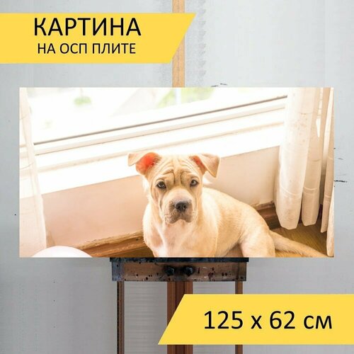Картина на ОСП 125х62 см. "Собака, домашний питомец, дом" горизонтальная, для интерьера, с креплениями