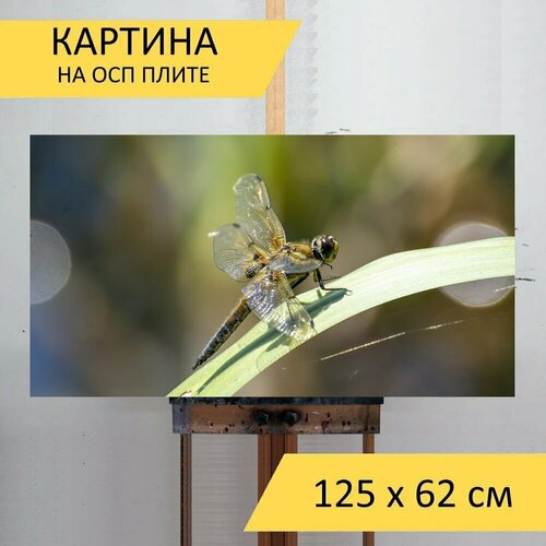 Картина на ОСП 125х62 см. "Ювелир, нимфа, насекомое" горизонтальная, для интерьера, с креплениями