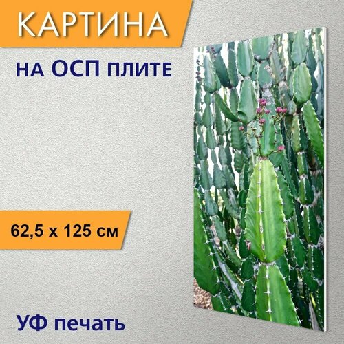 Вертикальная картина на ОСП "Кактус, сочный, колючий" 62x125 см. для интерьериа