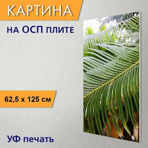 Вертикальная картина на ОСП "Пальма, пальмовые листья, южные моря" 62x125 см. для интерьериа