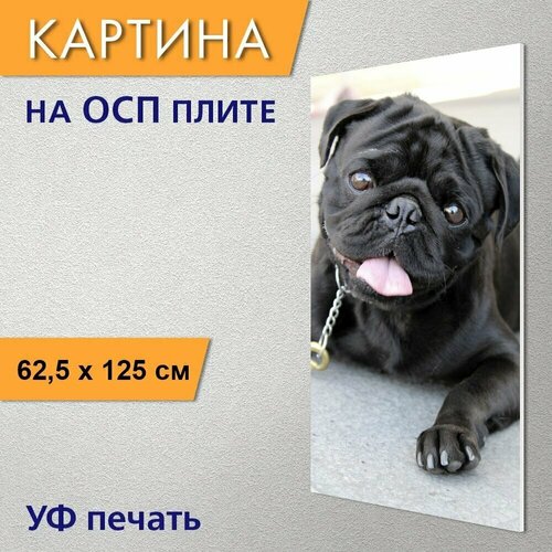 Вертикальная картина на ОСП "Дрессировка собак, черный мопс, собака" 62x125 см. для интерьериа