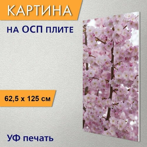 Вертикальная картина на ОСП "Вишня в цвету, цвести, весна" 62x125 см. для интерьериа