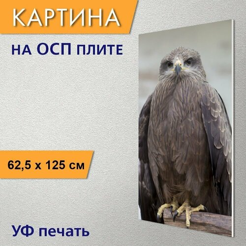 Вертикальная картина на ОСП "Сова, ночная сова, сова птица" 62x125 см. для интерьериа