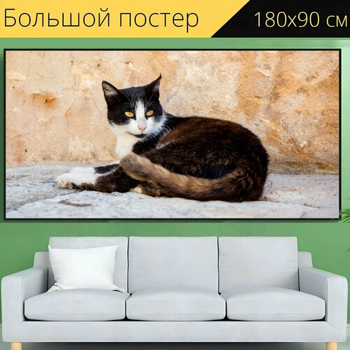 Большой постер "Кот, домашнее животное, домашняя кошка" 180 x 90 см. для интерьера