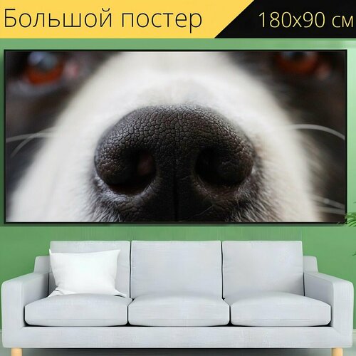 Большой постер "Собака, нос, морда" 180 x 90 см. для интерьера