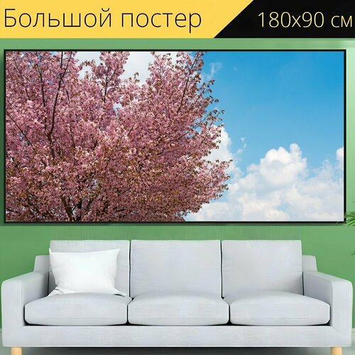 Большой постер "Вишня в цвету, вишневое дерево, цвести" 180 x 90 см. для интерьера