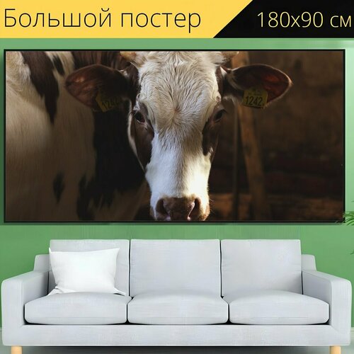 Большой постер "Животные, браун, крупный рогатый скот" 180 x 90 см. для интерьера
