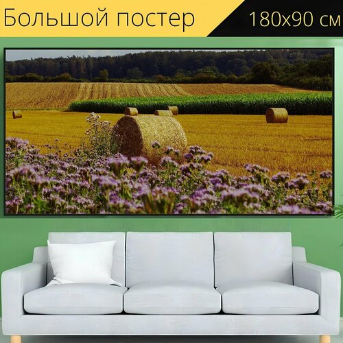 Большой постер "Уборка урожая, тюки соломы, солома" 180 x 90 см. для интерьера