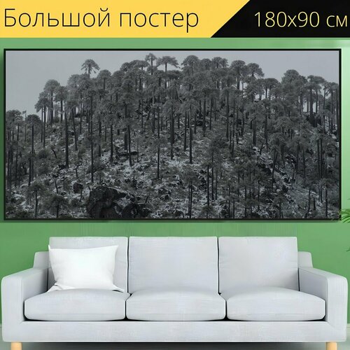 Большой постер "Деревья, природа, туман" 180 x 90 см. для интерьера
