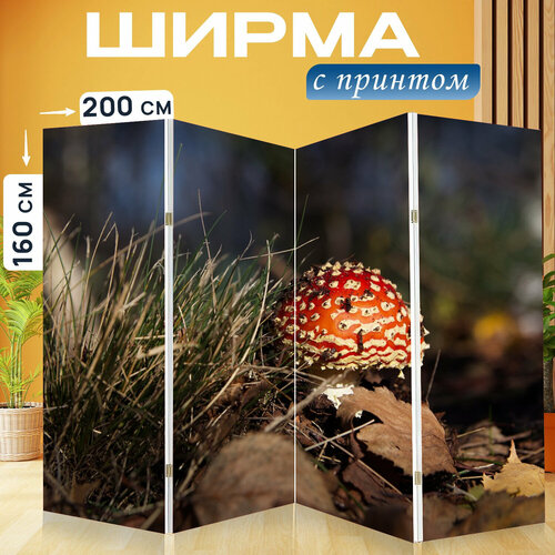 Ширма перегородка с принтом "Мухомор, гриб, лес" на холсте - 200x160 см. для зонирования, раскладная