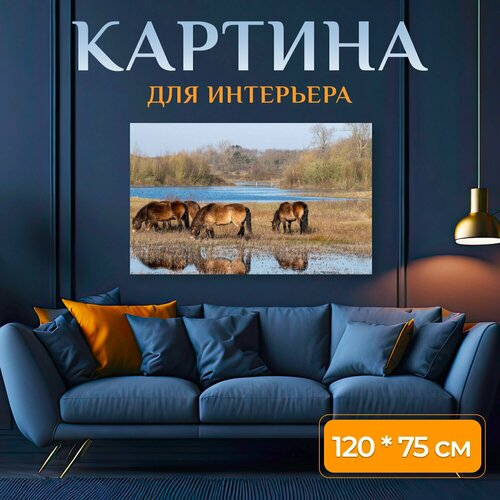 Картина на холсте "Лошади, природа, лошадь" на подрамнике 120х75 см. для интерьера