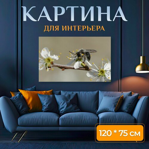 Картина на холсте "Песок пчела, насекомое, цветок" на подрамнике 120х75 см. для интерьера