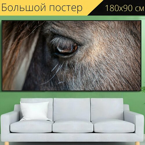 Большой постер "Лошадь, пони, глаз" 180 x 90 см. для интерьера