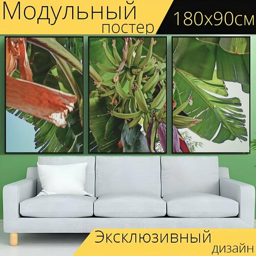 Модульный постер "Банан, завод, природа" 180 x 90 см. для интерьера