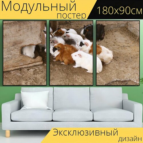Модульный постер "Хомяки, мико, мононуклеоз" 180 x 90 см. для интерьера