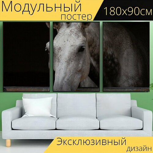 Модульный постер "Конный спорт, лошадь, соревнование" 180 x 90 см. для интерьера