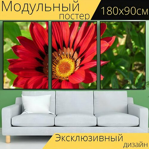 Модульный постер "Газания, цветок, яркий" 180 x 90 см. для интерьера