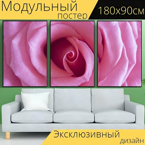 Модульный постер "Цветок, роза, лепестки" 180 x 90 см. для интерьера