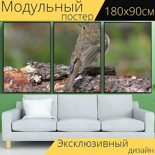 Модульный постер "Пятнистая мухоловка, птица, сидя" 180 x 90 см. для интерьера