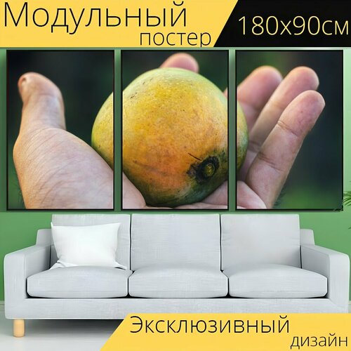 Модульный постер "Манго, рука, фрукты" 180 x 90 см. для интерьера