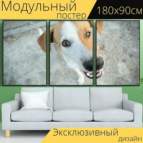 Модульный постер "Собака, талисман, профиль собаки" 180 x 90 см. для интерьера