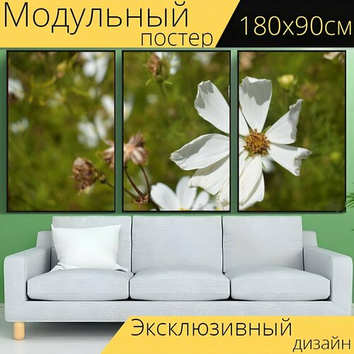 Модульный постер "Цветок, белый, сад" 180 x 90 см. для интерьера